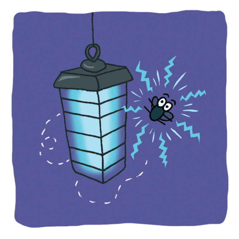 Bjorem Speech Sound Cues - Lateralisation – My Therapy Toolbox